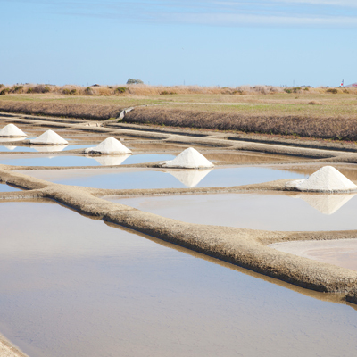 Sel bio - Un label au rabais ? - Actualité - UFC-Que Choisir