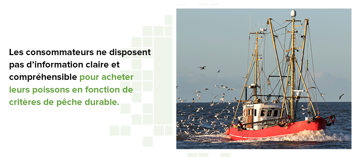 Environnement - Pour favoriser la pêche durable - Nos combats - UFC-Que ...