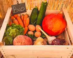 Alimentation bio - Dossier - UFC-Que Choisir